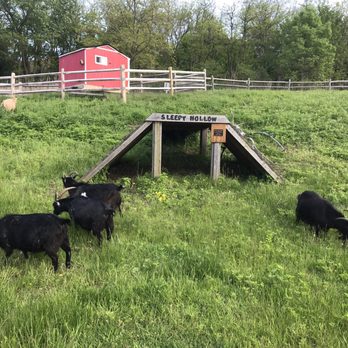 NORMAN J LEVY PARK & PRESERVE - Updated July 2024 - 474 Photos & 61 ...