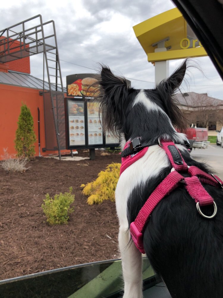 MCDONALD’S - Updated June 2025 - 1504 N Missouri, Macon, Missouri ...