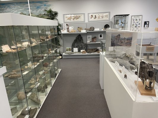 PINAL GEOLOGY & MINERAL MUSEUM - Updated October 2025 - 12 Photos - 351 ...