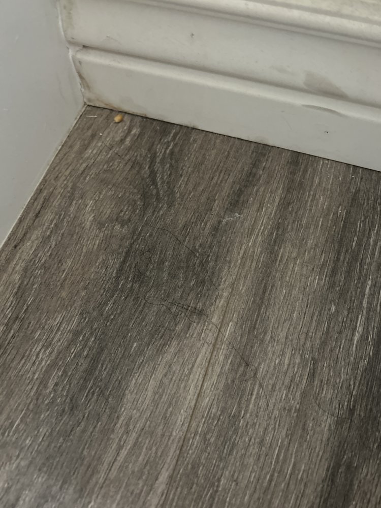 SPIT SPOT CLEANING SERVICES - Updated January 2025 - 10 Photos ...