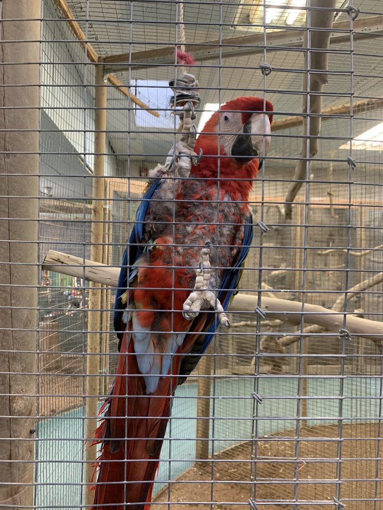 STAR ECO STATION - 165 Photos & 91 Reviews - 10101 Jefferson Blvd ...