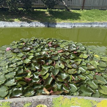 BOW SANCTUARY - Updated January 2026 - 15 Photos - 3533 Chuckanut Dr ...