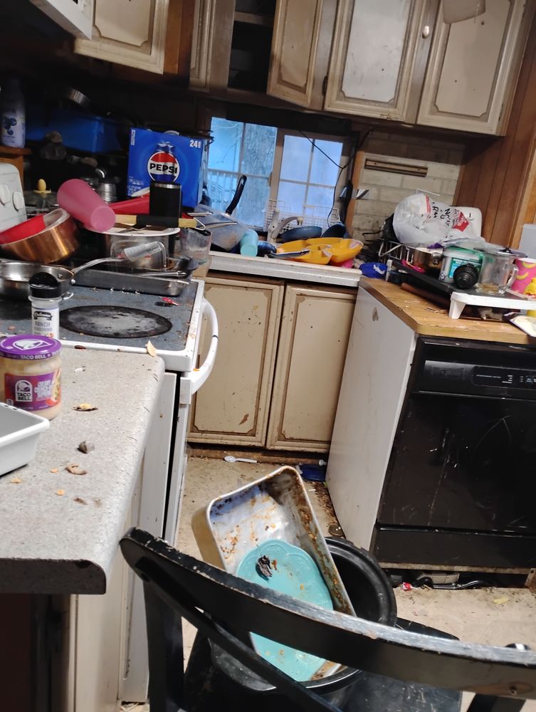 TANYA’S CLEANING PROS - Updated April 2025 - Request a Quote - Saint ...