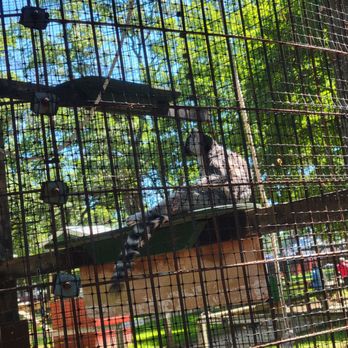 WISCONSIN DEER PARK - Updated June 2024 - 228 Photos & 120 Reviews ...