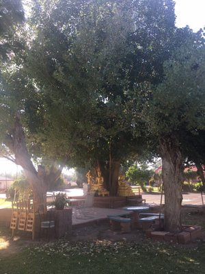 WAT PROMKUNARAM - Updated July 2025 - 17212 W Maryland Ave, Waddell ...