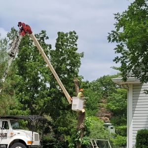 WEISS TREE SERVICE - Updated June 2025 - Ames, Iowa - Landscaping ...