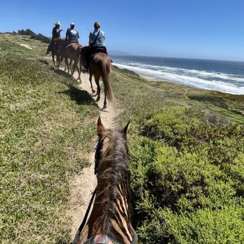 OCEAN VIEW STABLES - Updated July 2024 - 59 Photos & 48 Reviews - 2152 ...