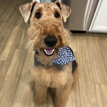 LE PUP PET SUPPLIES & GROOMING - Updated November 2025 - 59 Photos & 28 ...