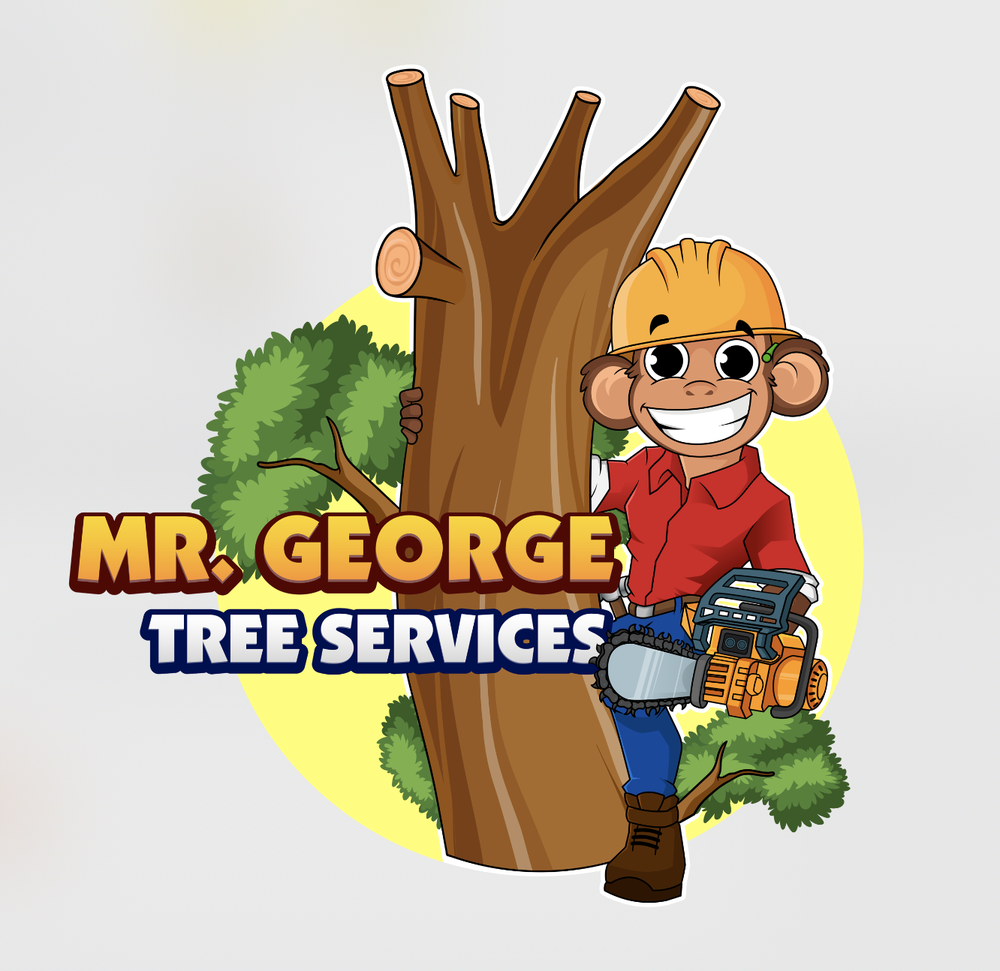 MR GEORGE TREE SEVICES - Melbourne, Florida - Tree Services - Phone ...