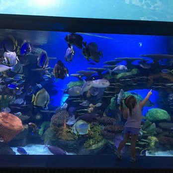 Oklahoma Aquarium - 230 Photos & 115 Reviews - Aquariums - 300 Aquarium ...