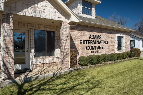 ADAMS EXTERMINATING - Updated December 2025 - 11 Photos & 26 Reviews ...