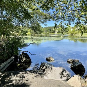 HAMMOND POND RESERVATION - Updated February 2025 - 274 Hammond Pond ...