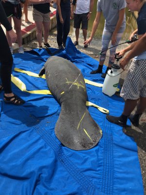 CALUSA CAMPGROUND RESORT MARINA - 27 Photos & 18 Reviews - Campgrounds ...