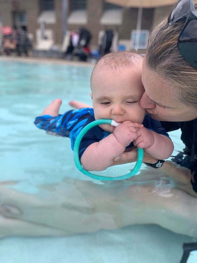 AZTEC AQUAPLEX SDSU - 21 Photos & 19 Reviews - 5375 Remington Rd, San ...