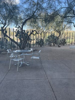 APPALOOSA LIBRARY - Updated April 2025 - 91 Photos & 38 Reviews - 7377 ...