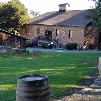 PICCHETTI RANCH OPEN SPACE PRESERVE - Updated November 2024 - 247 ...