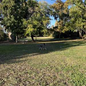 ALSTON PARK - Updated July 2025 - 211 Photos & 84 Reviews - Dry Creek ...