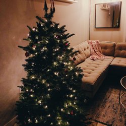 Leach Tree Farms - 2019 All You Need to Know BEFORE You Go (with Photos ...