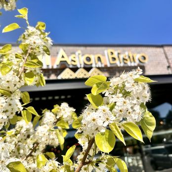 LOCAL ASIAN BISTRO - Updated May 2024 - 198 Photos & 130 Reviews ...