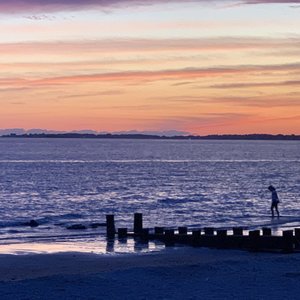 MCCOOK POINT BEACH AND PARK - 48 Photos & 10 Reviews - McCook Pl, East ...