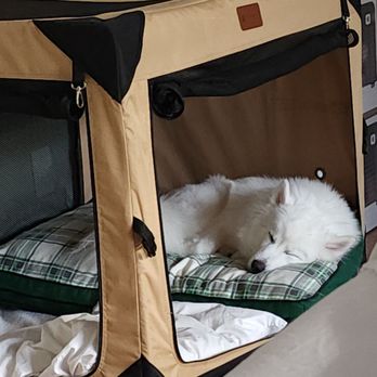 STEVENS ANIMAL HOSPITAL - Updated December 2025 - 35 Photos & 64 ...