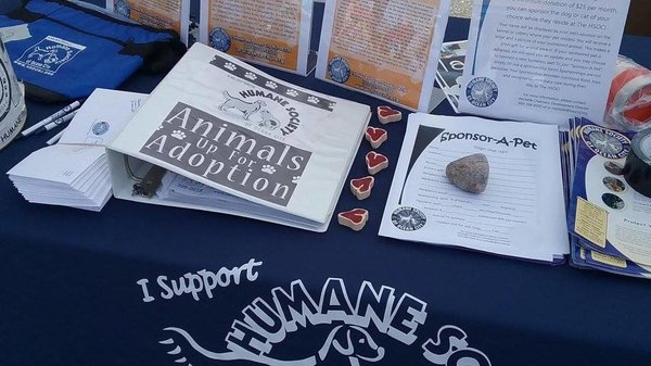 HUMANE SOCIETY OF OCEAN CITY - Updated August 2025 - 17 Photos & 14 ...