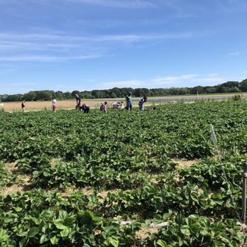 FOUR TOWN FARM - Updated June 2025 - 126 Photos & 83 Reviews - 90 ...