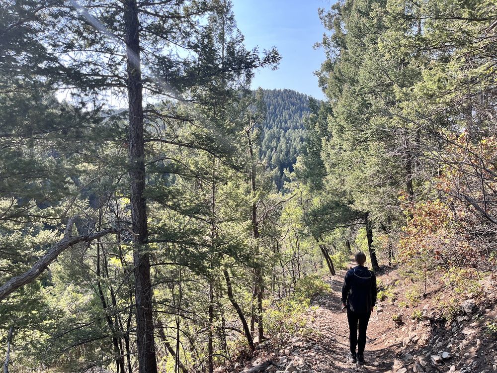 SWITCH BACK TRAIL - Updated April 2026 - 11 Photos - Switch Back Ln ...