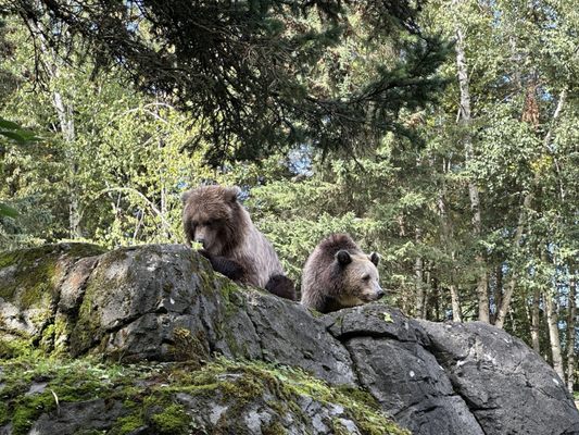 WOODLAND PARK ZOO - Updated February 2025 - 3992 Photos & 1043 Reviews ...