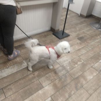 THIRSTEA - Updated October 2025 - 279 Photos & 212 Reviews - 6585 ...