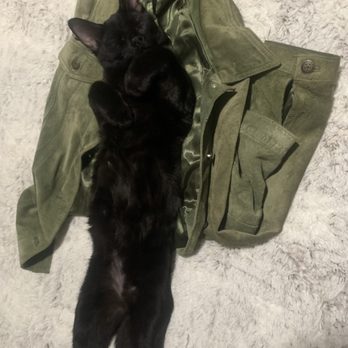 HALO ANIMAL RESCUE - Updated January 2025 - 94 Photos & 162 Reviews ...