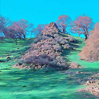 DIABLO FOOTHILLS REGIONAL PARK - Updated January 2026 - 244 Photos & 45 ...