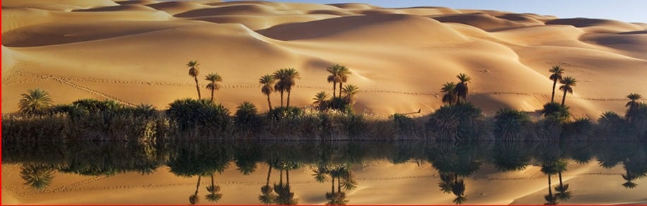 TURISMO SELAMINA - Updated November 2024 - Avinguda de la Diputacio ...