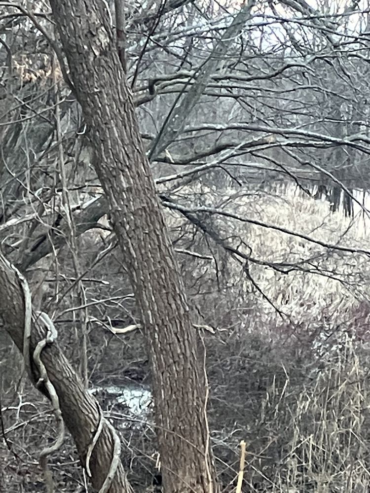 JOHN B. HUDSON TRAIL - Updated March 2025 - 34 Photos - Rt 165, Exeter ...