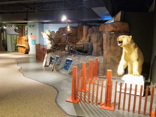 BOONSHOFT MUSEUM OF DISCOVERY - 118 Photos & 58 Reviews - 2600 Deweese ...