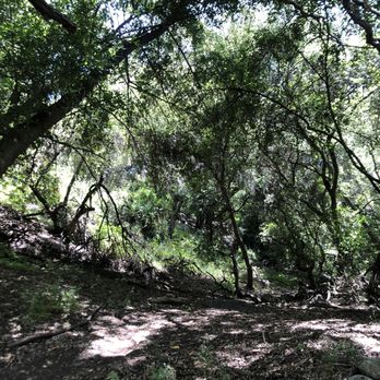 MONROVIA CANYON PARK - Updated September 2025 - 1286 Photos & 317 ...