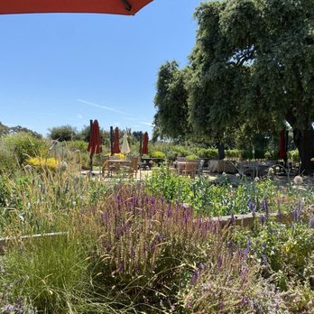 ROBLAR WINERY - Updated August 2024 - 670 Photos & 434 Reviews - 3010 ...