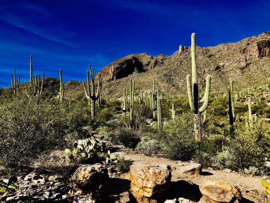 FINGER ROCK TRAIL - Updated March 2026 - 32 Photos & 15 Reviews - 7180 ...