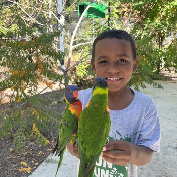 TRACY AVIARY - Updated August 2024 - 495 Photos & 177 Reviews - 589 E ...