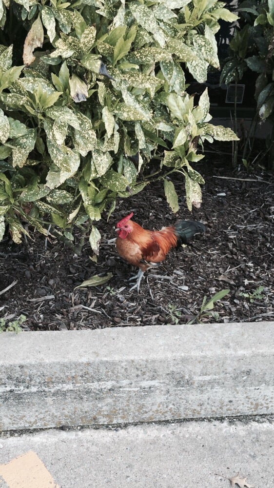 FIRST MED URGENT CARE - Updated August 2025 - 40 Reviews - 4510 NW 39th ...