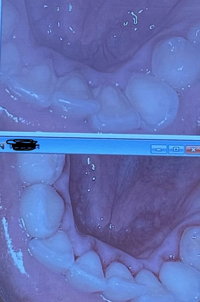 MACK JACOB, DDS - Updated October 2025 - 26 Reviews - 2012 Prince St ...