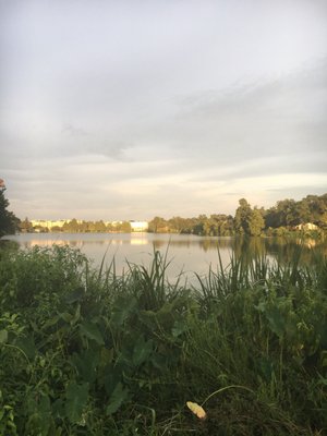 UNIVERSITY LAKE - Updated July 2025 - 11 Photos - W Lakeshore Dr, Baton ...