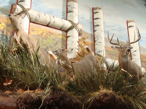 BASS PRO SHOPS - Updated June 2024 - 39 Photos & 57 Reviews - 2 ...