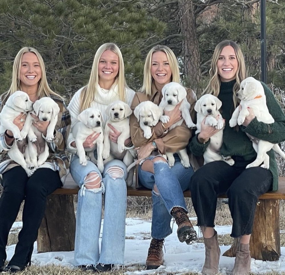 LUCKY RANCH LABRADORS - Updated May 2024 - 26 Photos - 5060 Stone Canon ...