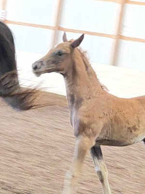 CROSS CREEK STABLES - Updated November 2025 - 76 Photos & 11 Reviews ...