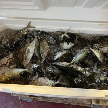 REXEL PACIFIC FISH MARKET - Updated October 2025 - 44 Photos & 18 ...