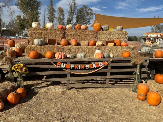 CHERRY ACRES - Updated December 2025 - 39 Photos & 18 Reviews - 4011 ...