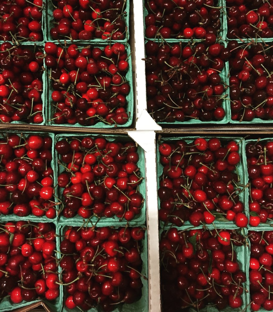 FRESHPOINT RALEIGH - Updated June 2025 - 16 Photos - 203 Trans Air Dr ...