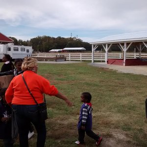 HANOVER VEGETABLE FARM - 26 Photos & 18 Reviews - Fruits & Veggies ...