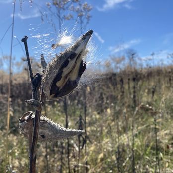 HISLE FARM PARK - Updated October 2025 - 21 Photos - 3551 Briar Hill Rd ...